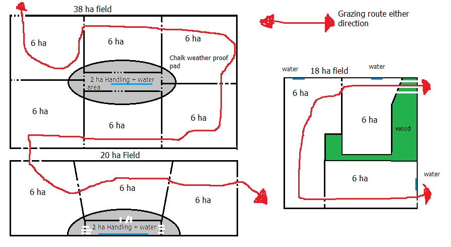 The perfect paddock layout for rotational grazing? | The Farming Forum