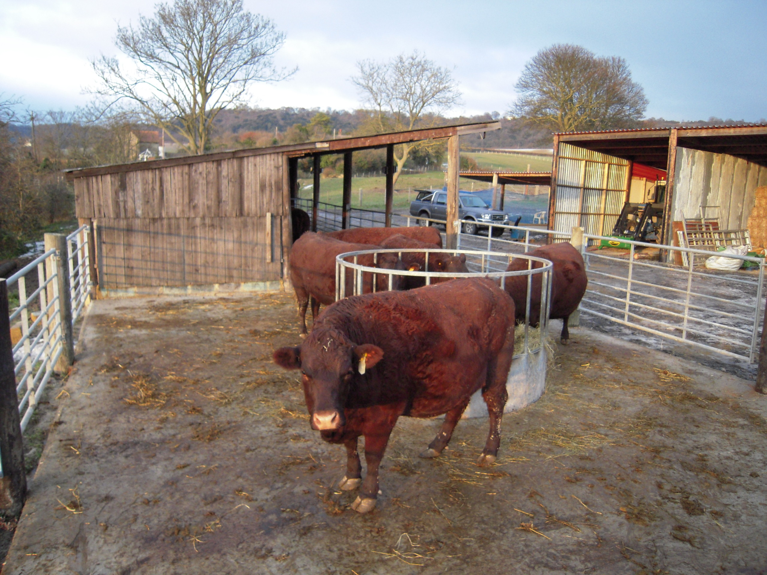 New Beef House | The Farming Forum