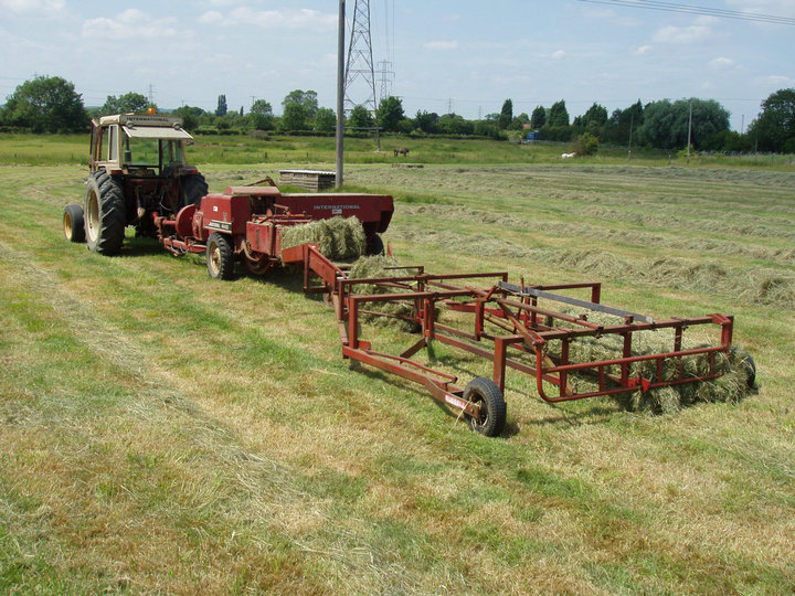 Little and Large | The Farming Forum