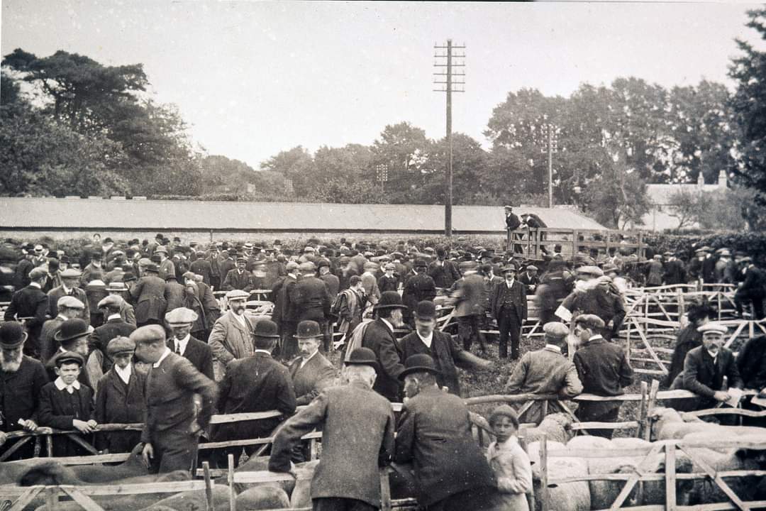 Cowbridge Market set to close | Page 7 | The Farming Forum