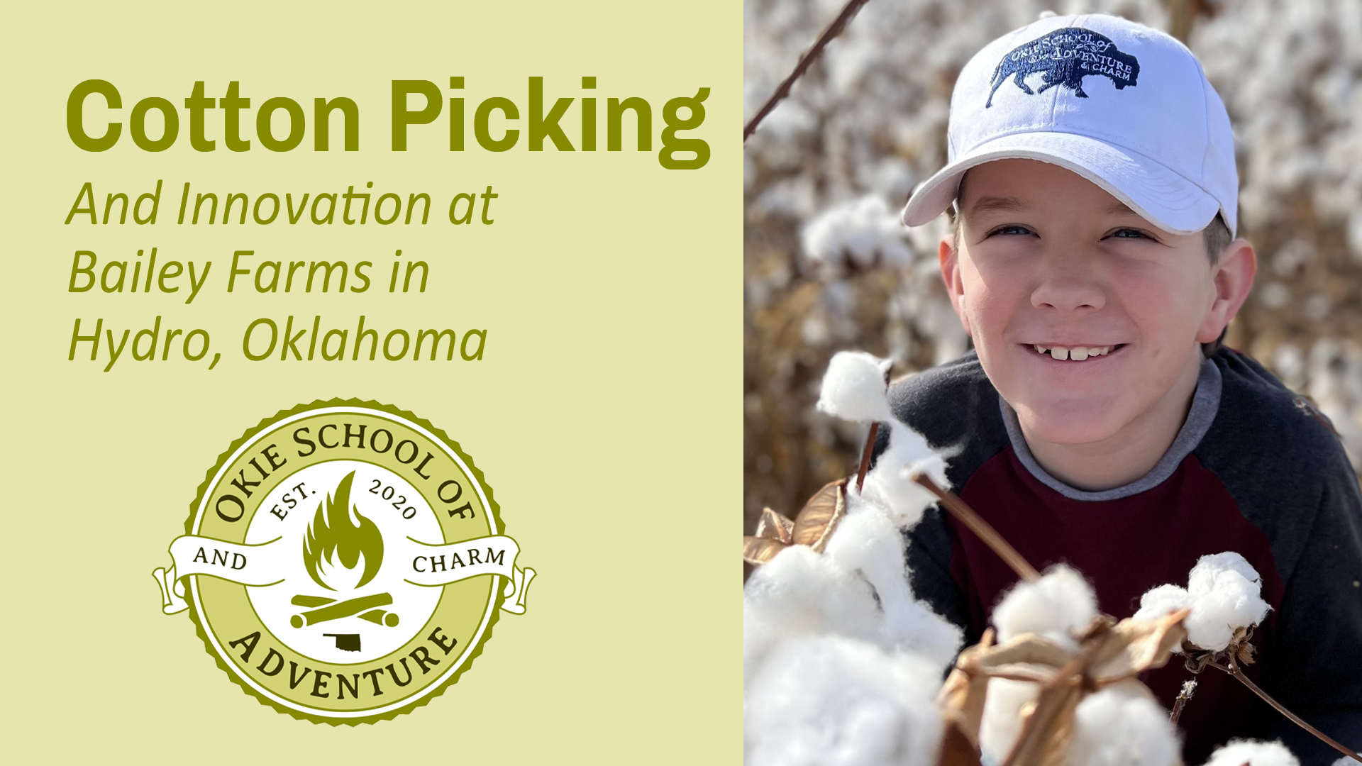 Modern Cotton Harvester - Pretty Amazing Machine | The Farming Forum