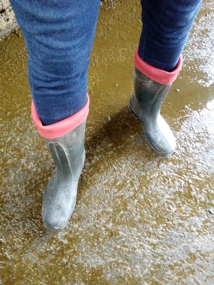 Ladies wellies /footwear on the farm | Page 2 | The Farming Forum