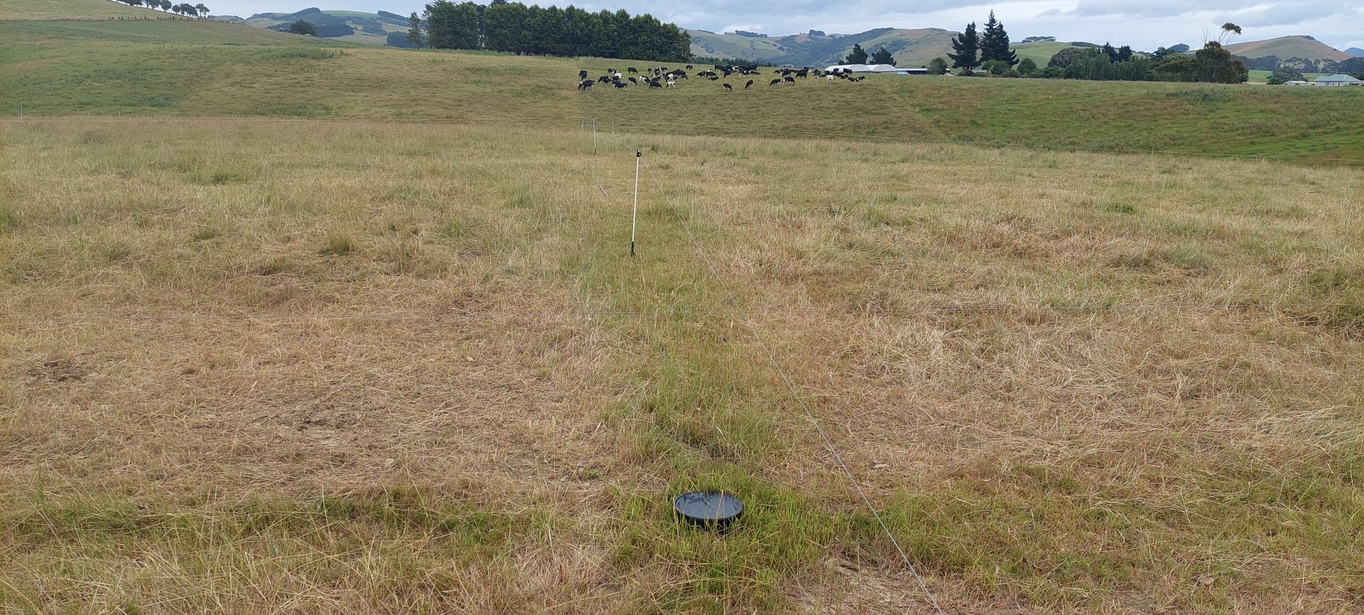 "Improving Our Lot" - Planned Holistic Grazing, for starters.. | Page ...