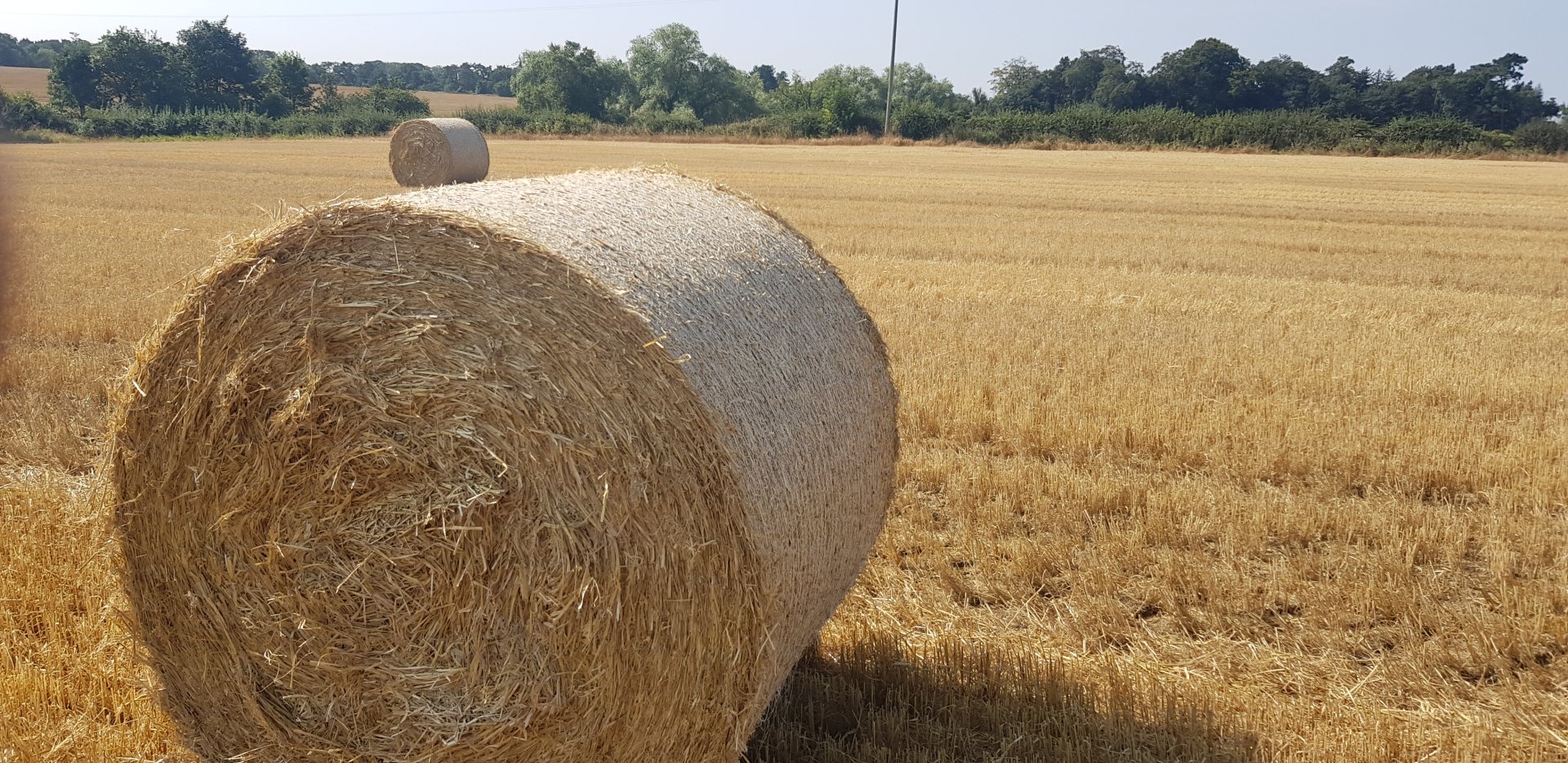 Fixed Chamber Roller Balers for baling straw? | The Farming Forum