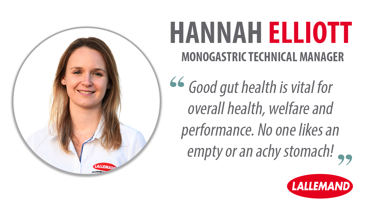 Hannah Elliott’s promotion to monogastric technical manager | The ...