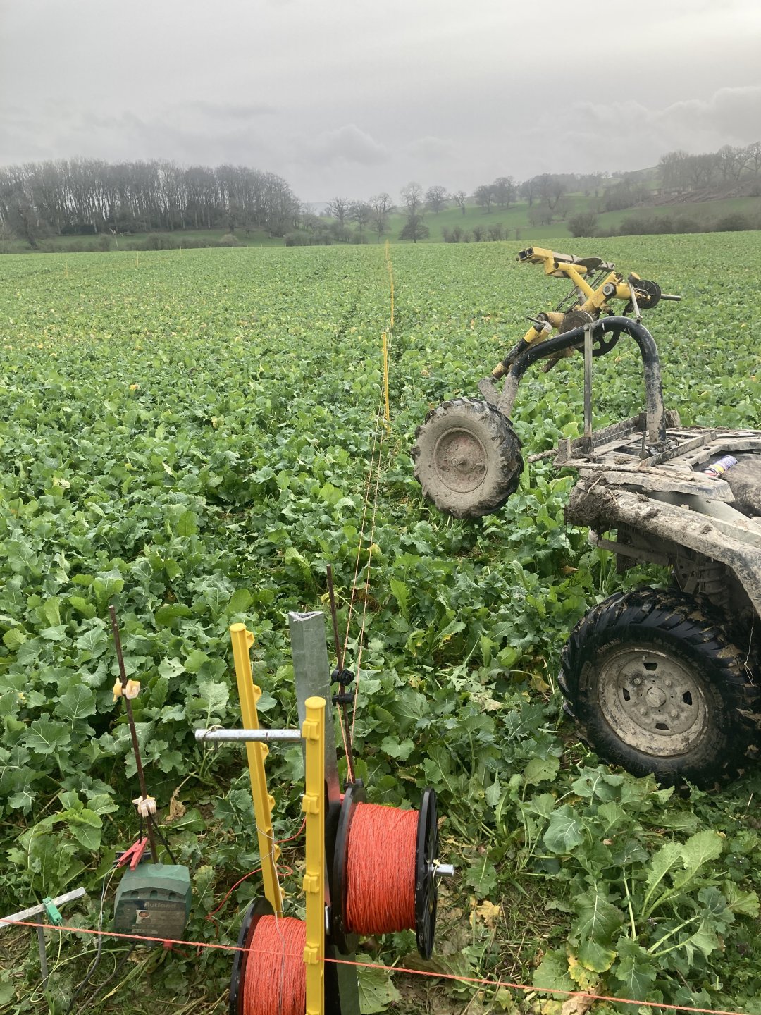 Rappa - Too much play? | Page 12 | The Farming Forum