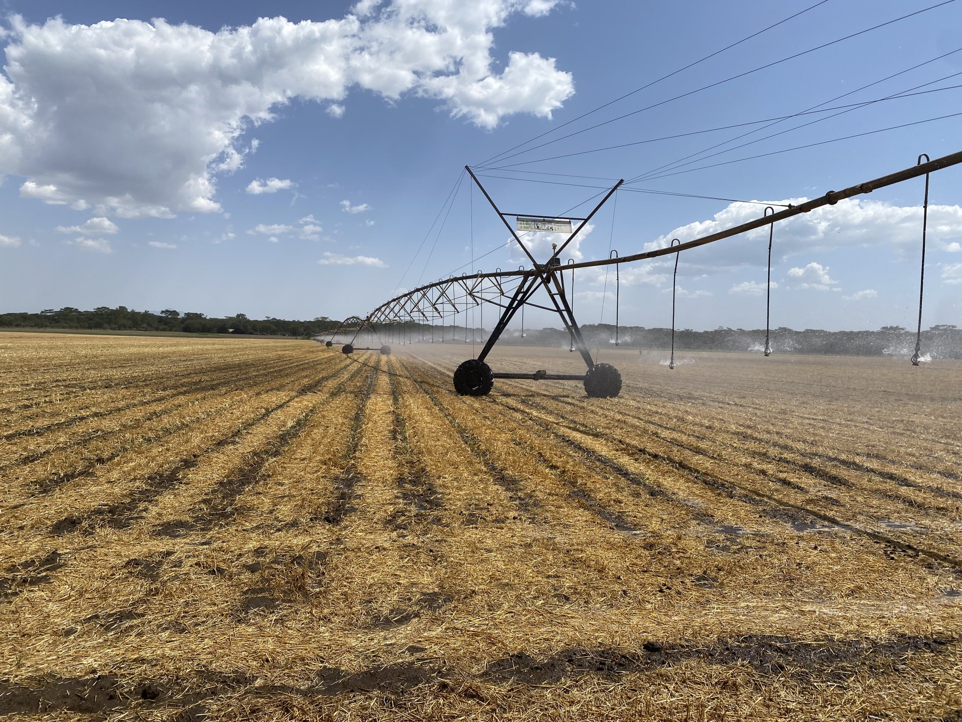 Direct/Strip-till drilling photo gallery | Page 120 | The Farming Forum