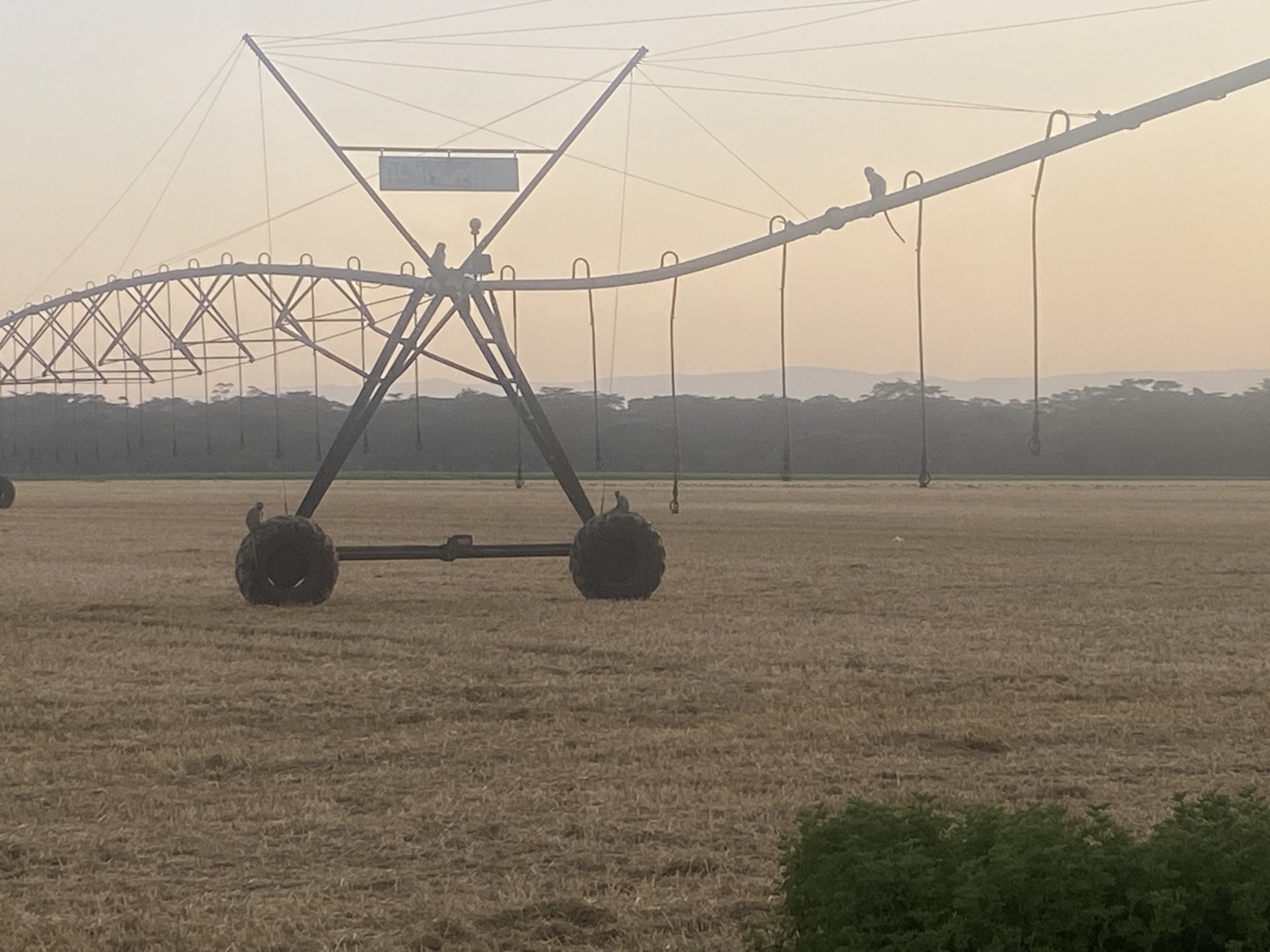 Direct/Strip-till drilling photo gallery | Page 120 | The Farming Forum
