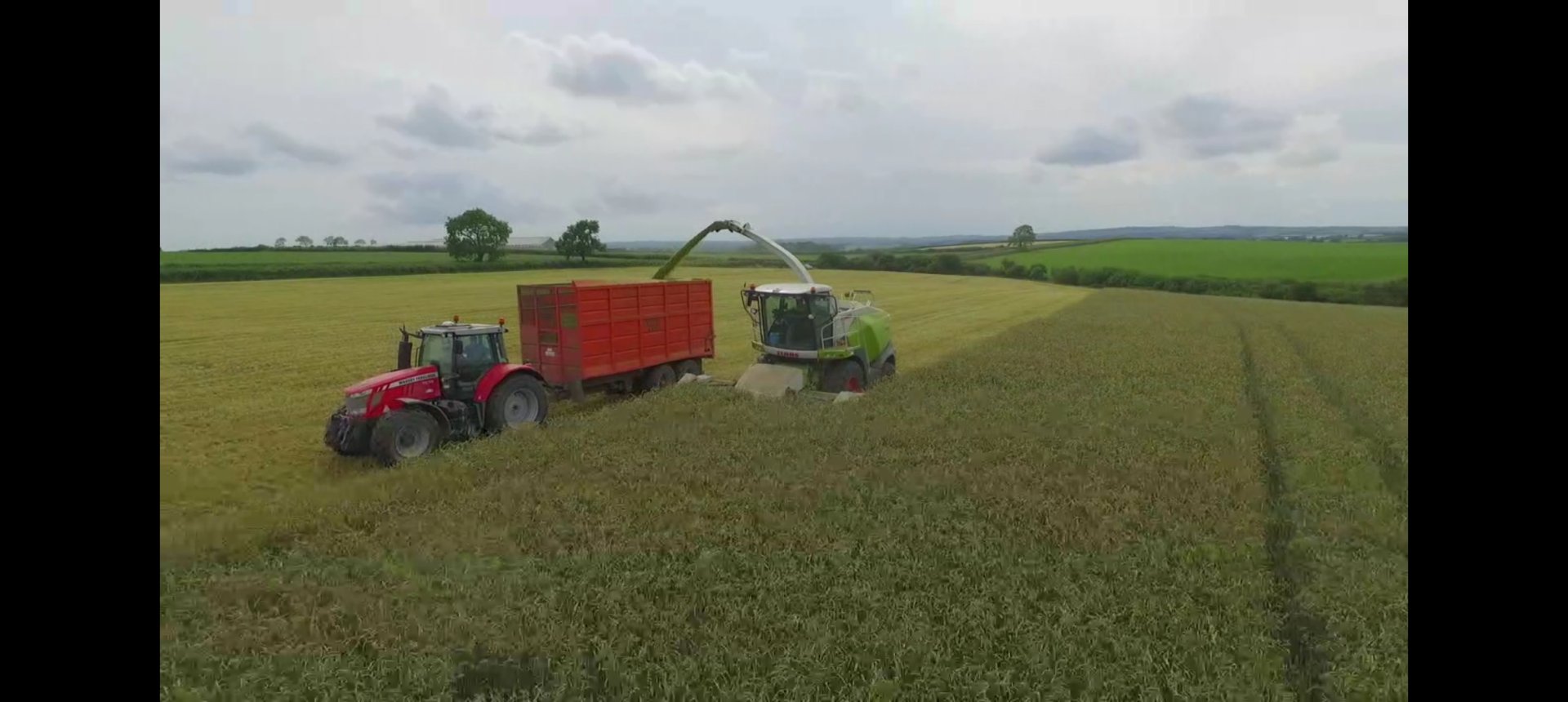 Forage rye silage | Page 2 | The Farming Forum