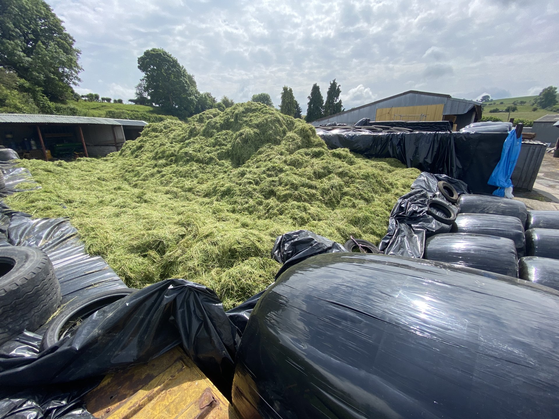 Tedding for wagon silage to improve cut quality? | The Farming Forum