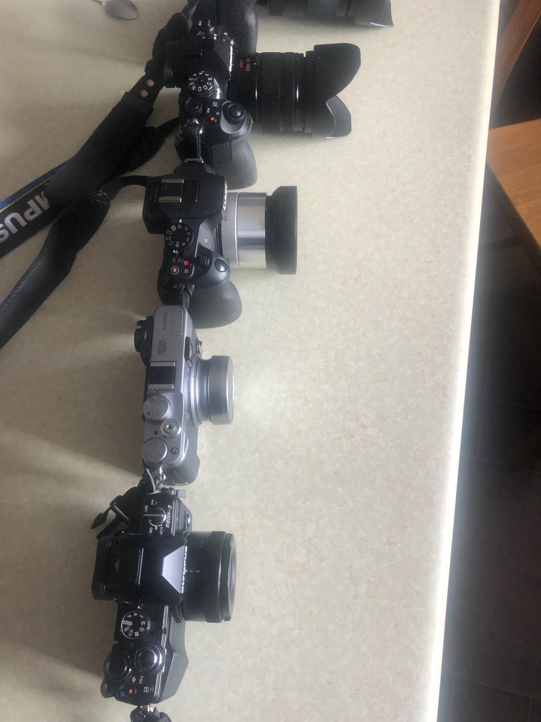 Camera and lenses for photographing wildlife and farm machinery | The ...