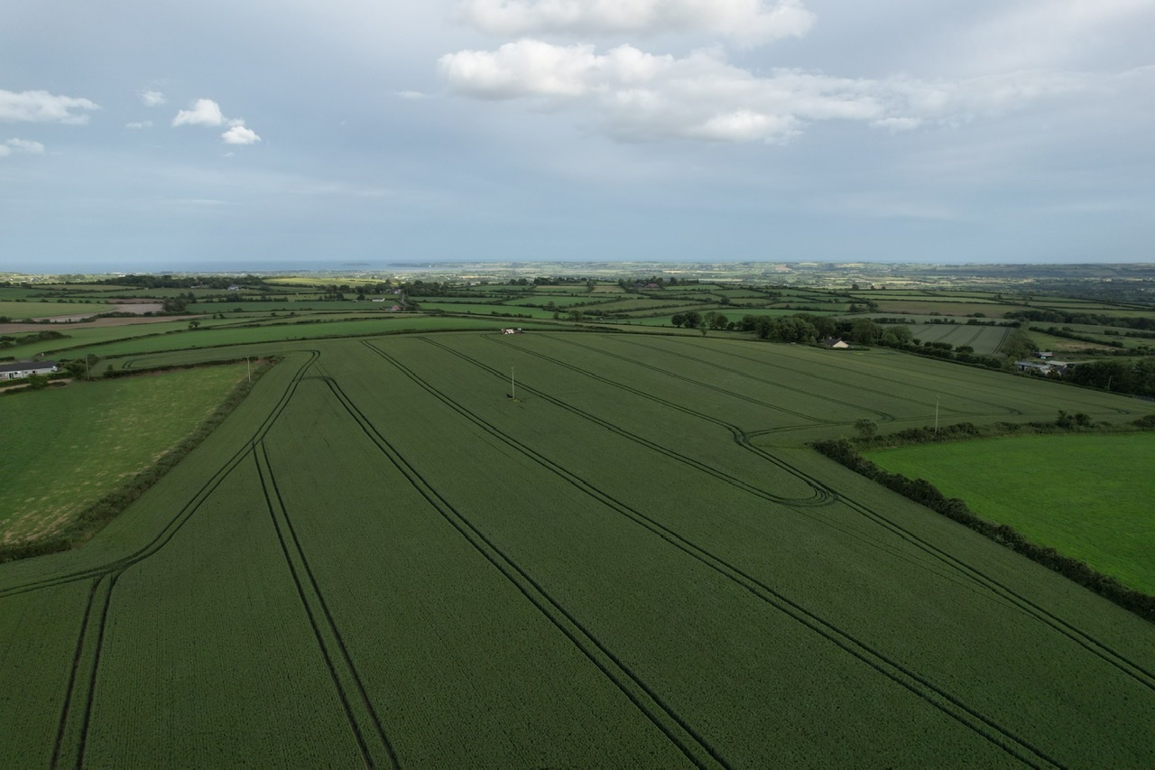 Wheat variety | Page 2 | The Farming Forum