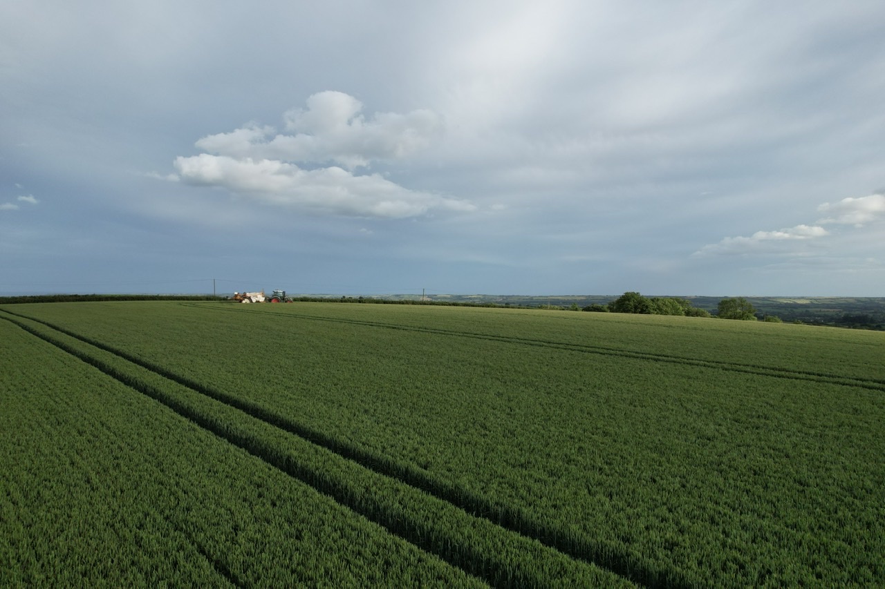 Wheat variety | Page 2 | The Farming Forum