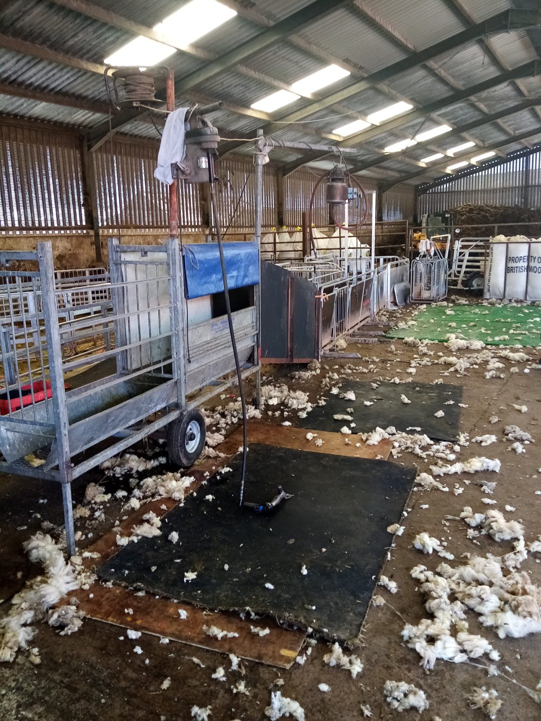 Shearing Stand | Page 2 | The Farming Forum