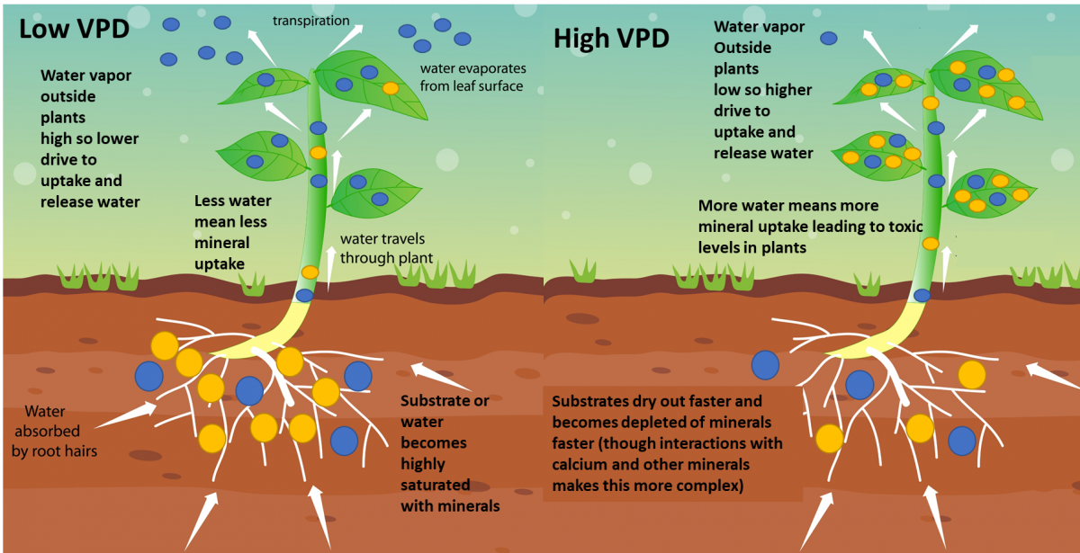 The importance of vapour pressure deficits (VPD) in agricultural plant ...