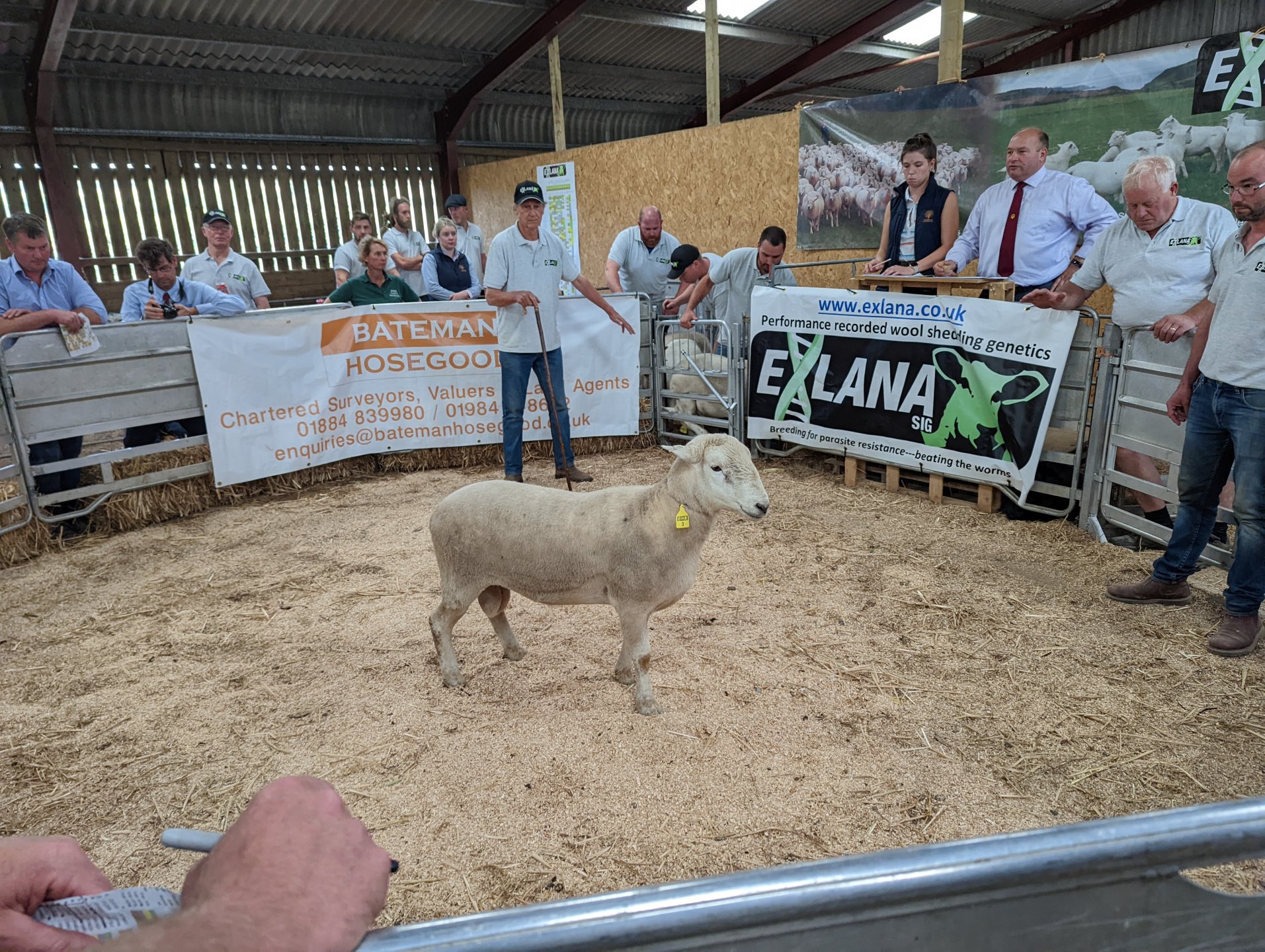 Exlana Ram Sales | The Farming Forum