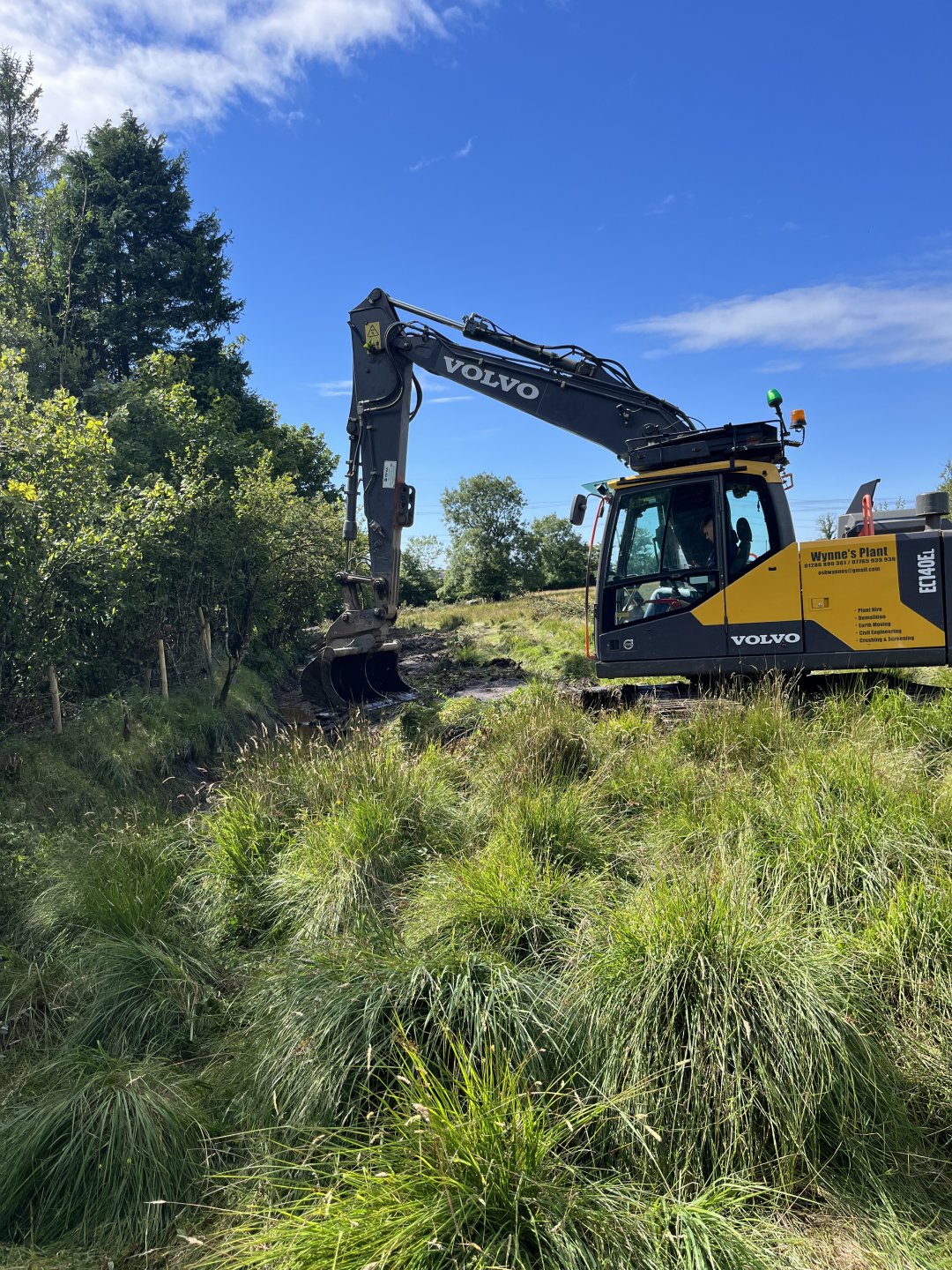 Should we let animals onto boggy area now the land is so dry. | Page 2 ...