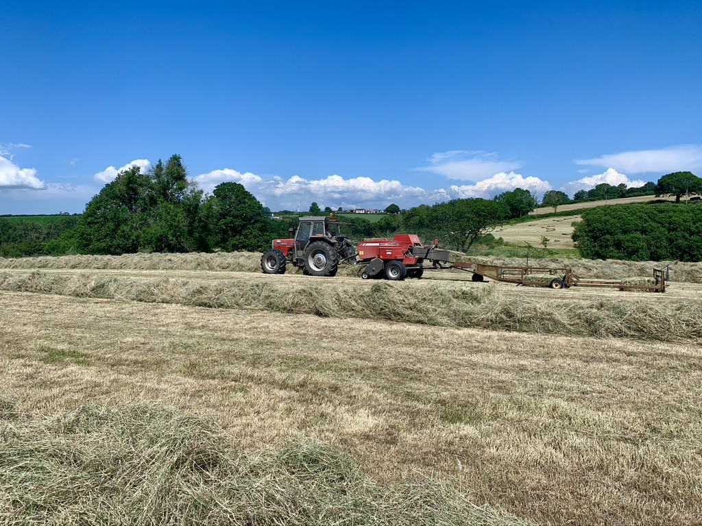 24 Acres of Land For Sale | The Farming Forum