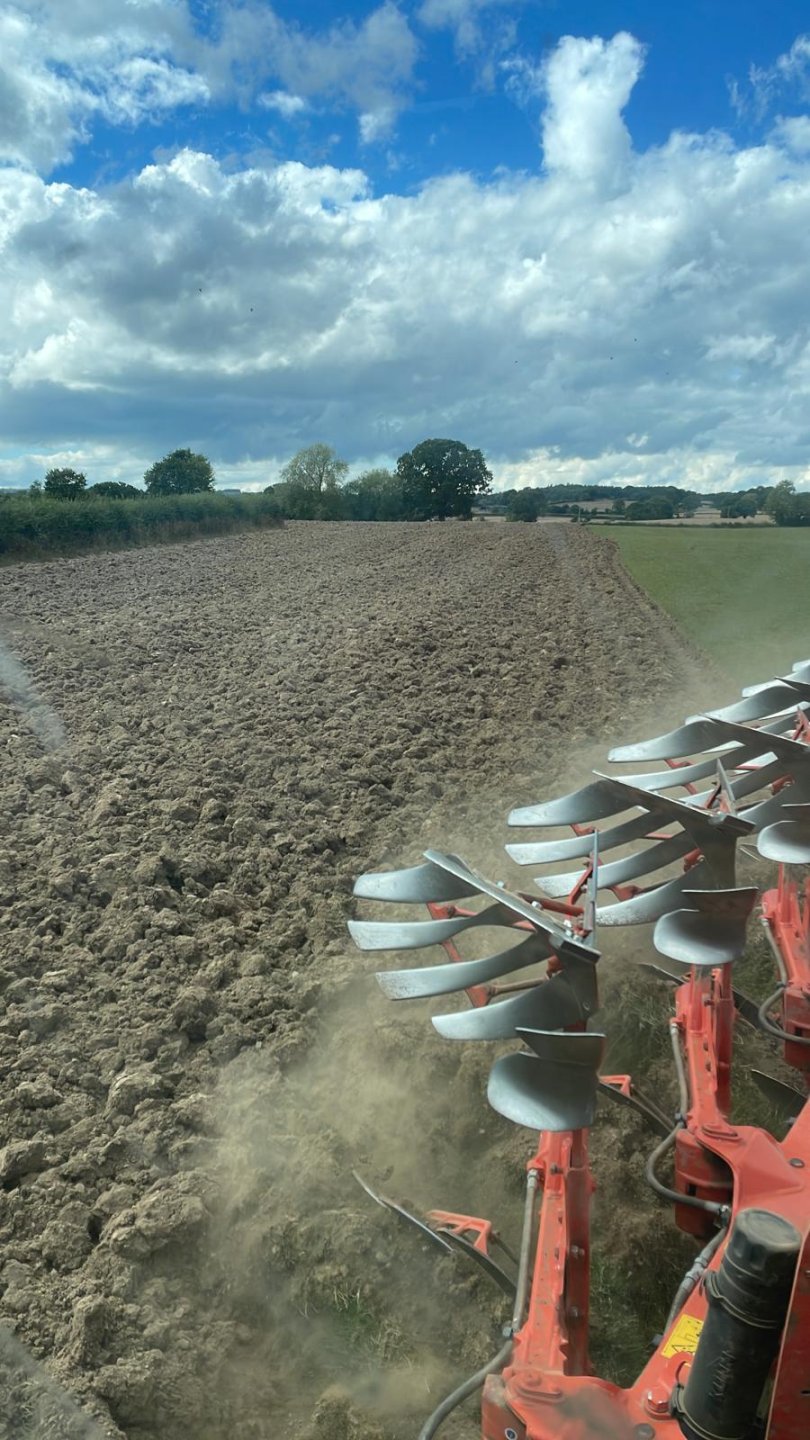 When to late for turnip and forage rape? | The Farming Forum