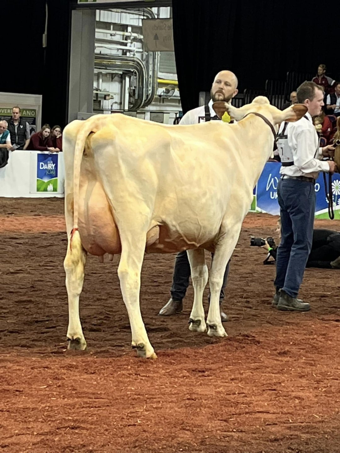UK Dairy Day 2022 | The Farming Forum