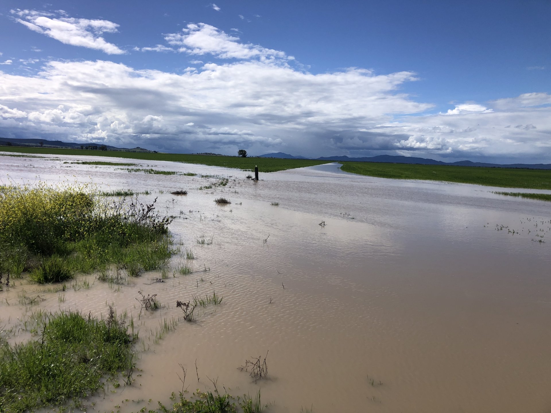 Farmer Roy's Random Thoughts - I never said it was easy. | Page 1828 ...
