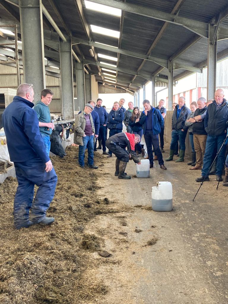 Maximising forage, feed and performance in your dairy herd with Jimmy ...
