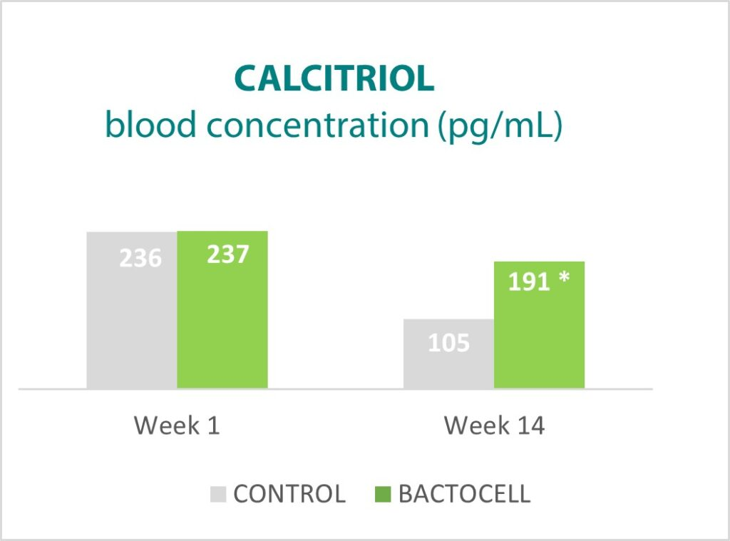How to extend the laying cycle while maintaining eggshell quality | The ...