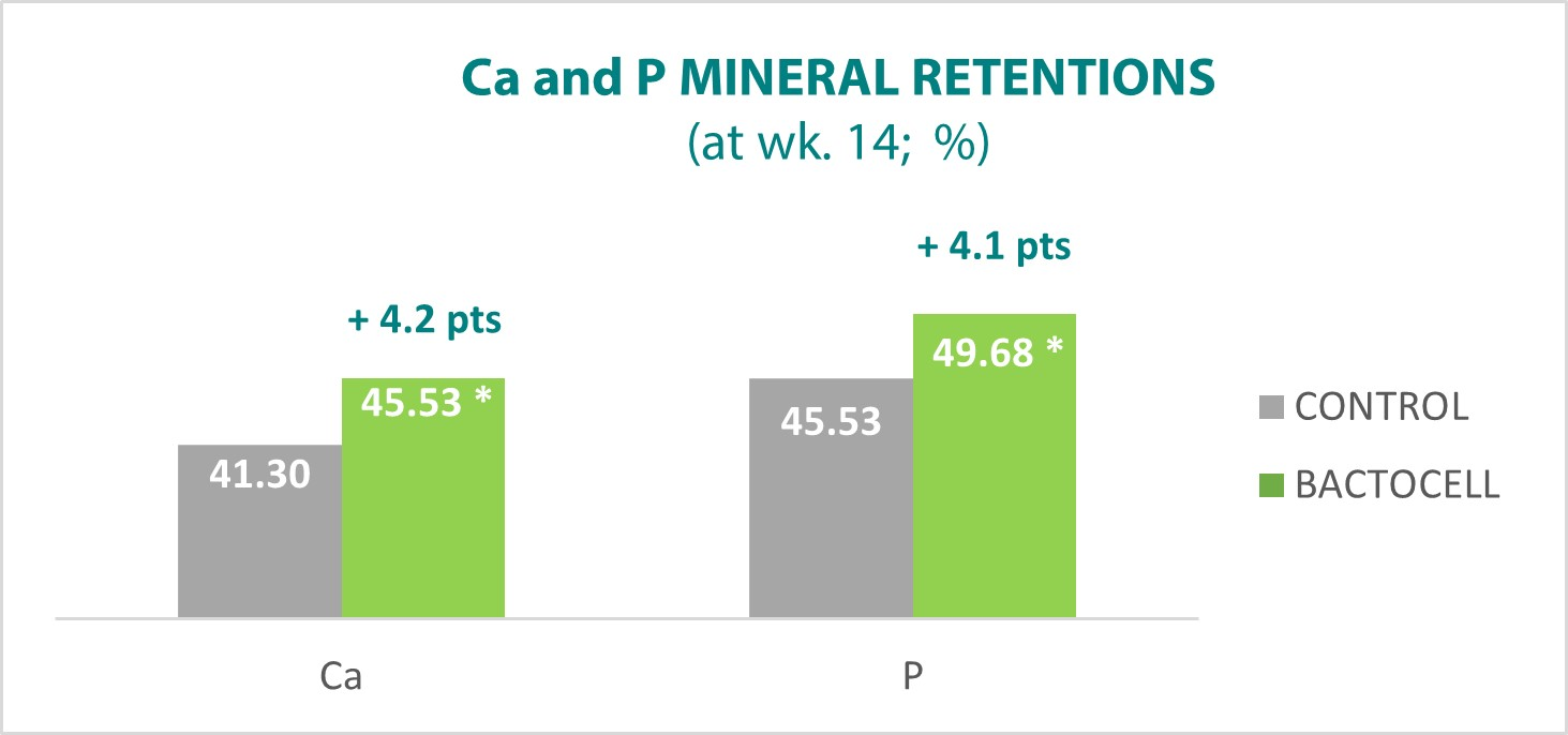 How to extend the laying cycle while maintaining eggshell quality | The ...