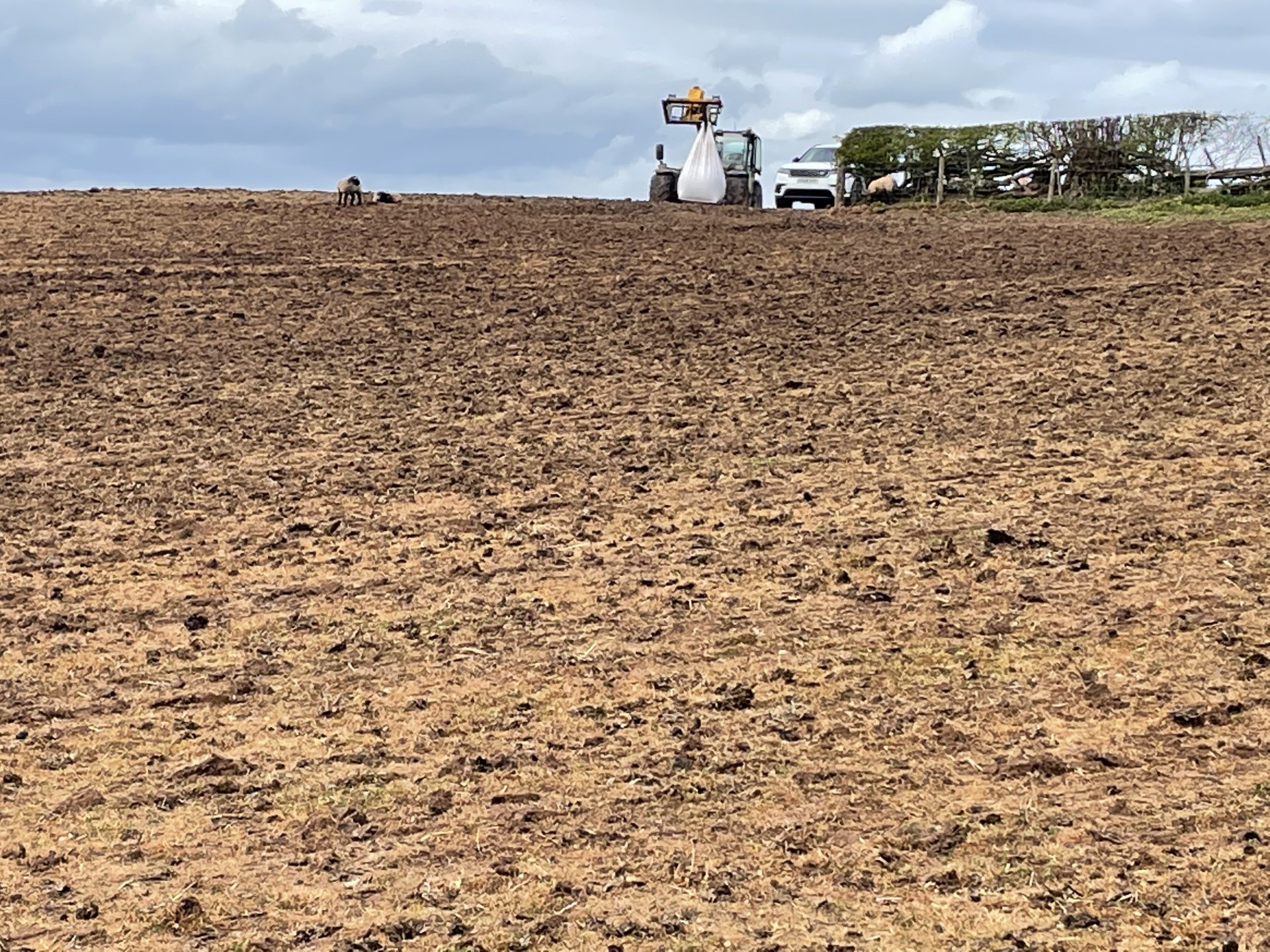 Simtech tsem and beans | Page 2 | The Farming Forum