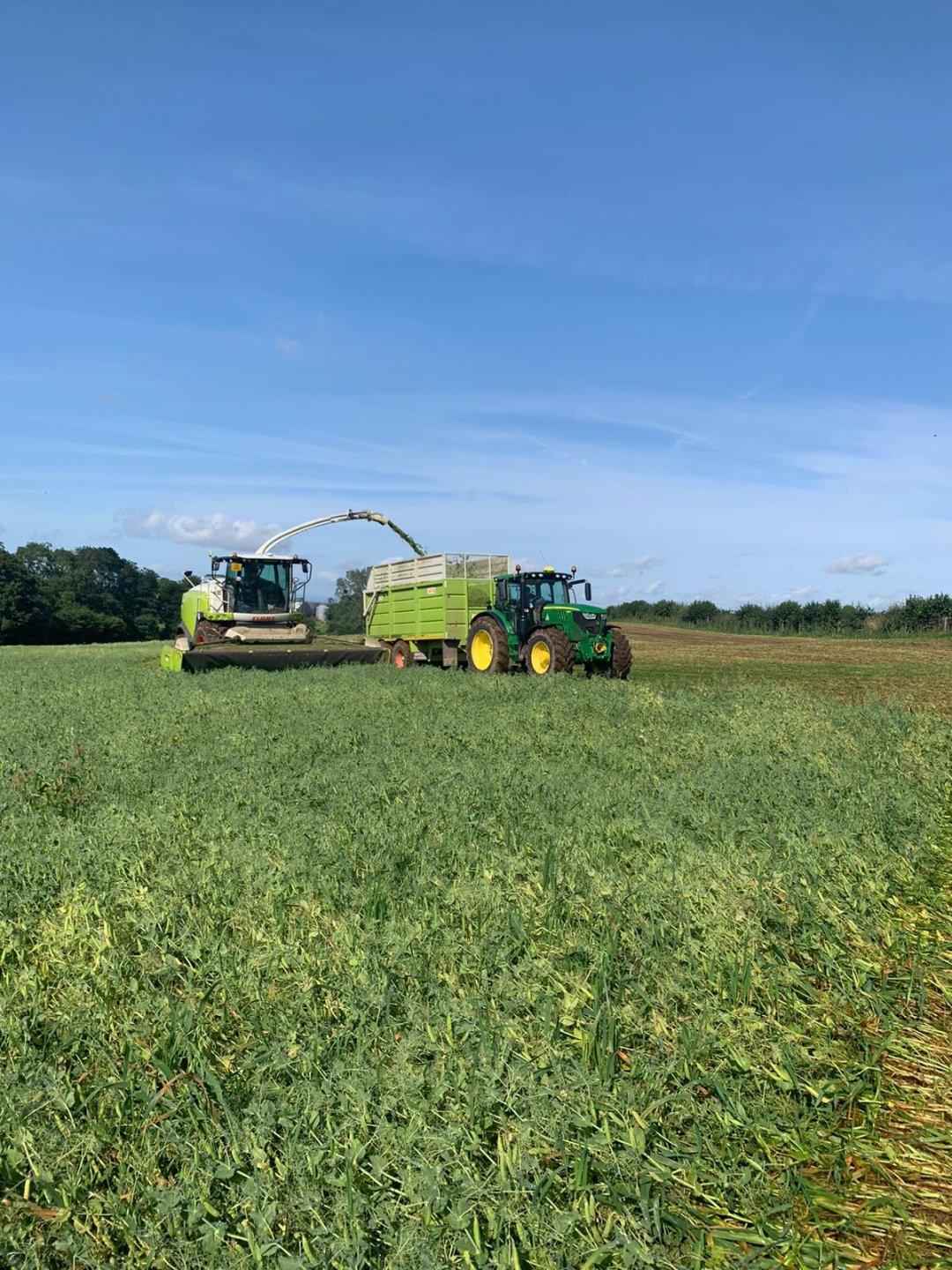 Simtech tsem and beans | Page 2 | The Farming Forum