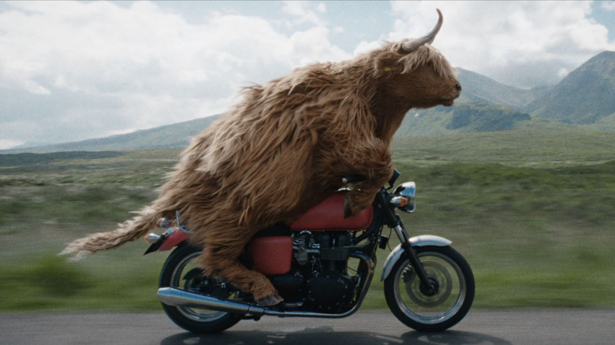 Arla new milk advert | The Farming Forum