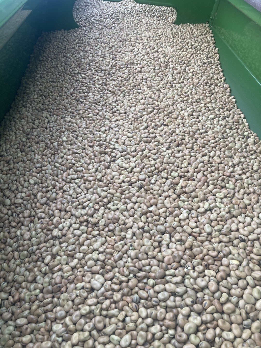 Winter Beans establishment | Page 5 | The Farming Forum