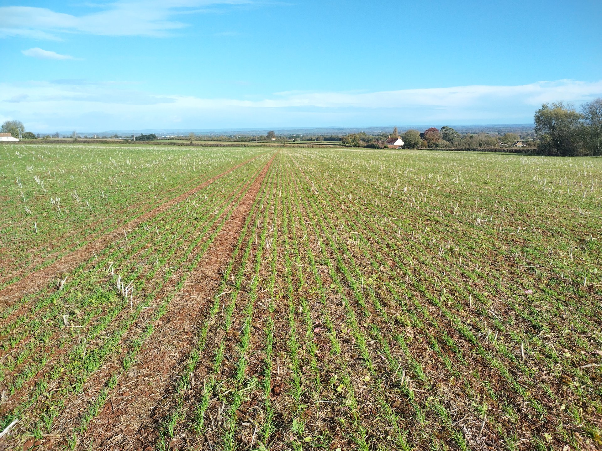 Direct/Strip-till drilling photo gallery | Page 127 | The Farming Forum