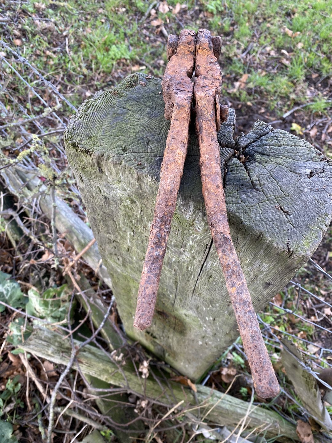 THINGS FOUND IN FIELDS | Page 11 | The Farming Forum