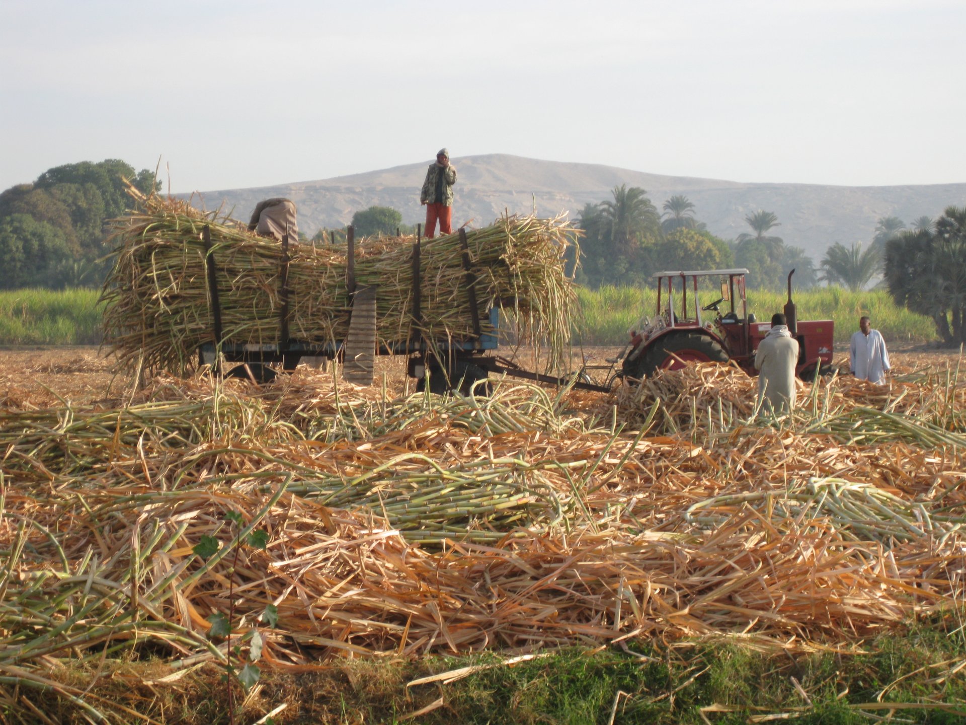 Loaded up and trucking!! | Page 341 | The Farming Forum