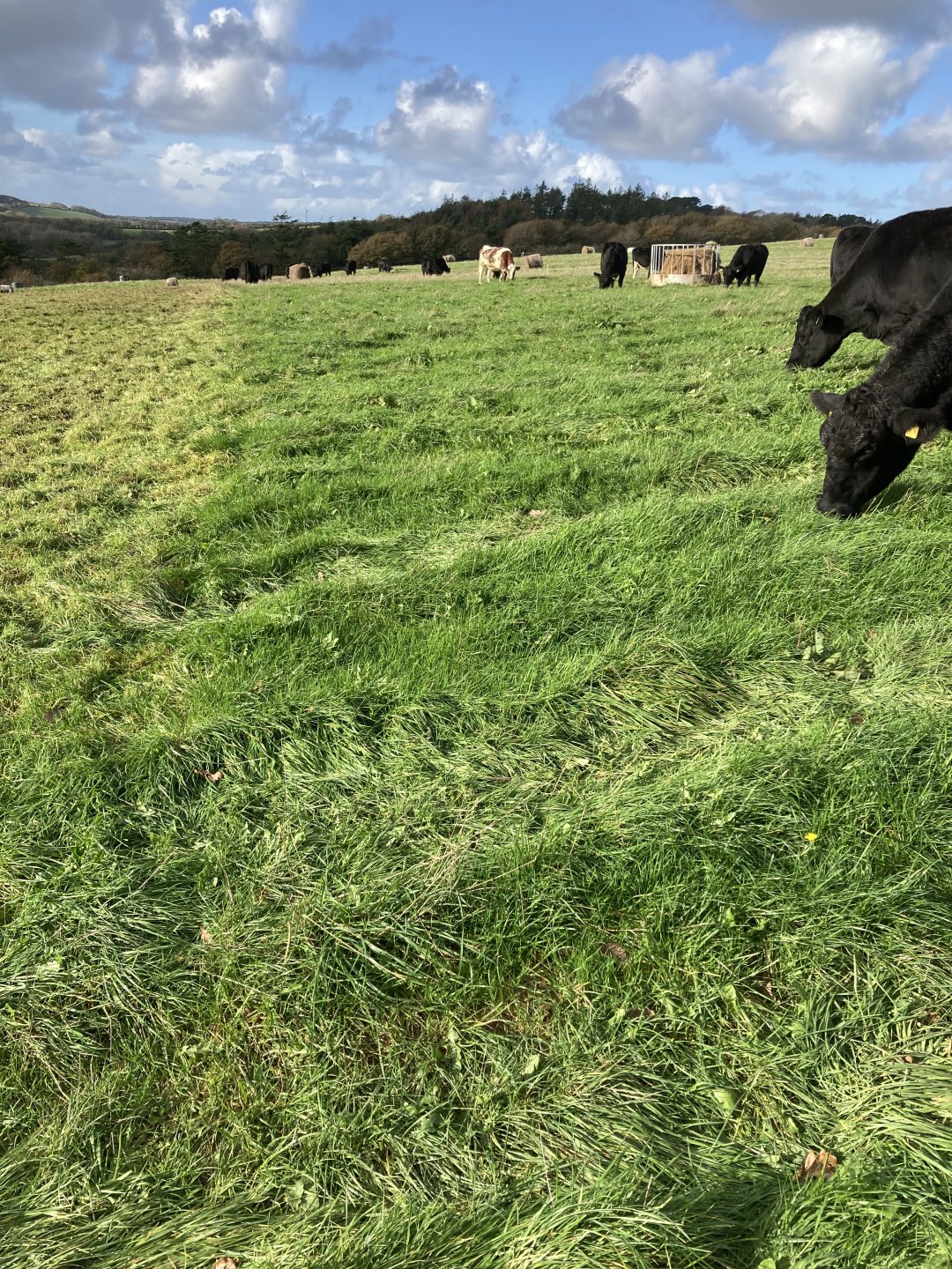 Our Journey | Page 8 | The Farming Forum