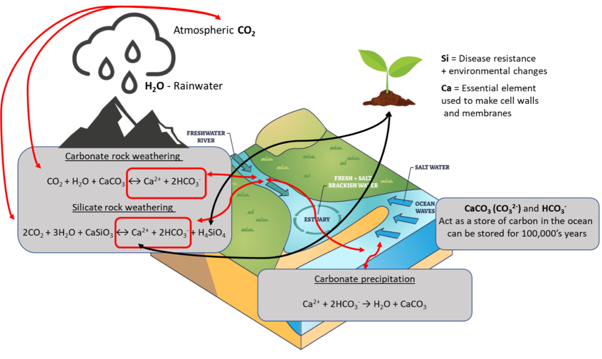 Hitting rock bottom: can silica rocks mitigate agricultural emissions ...
