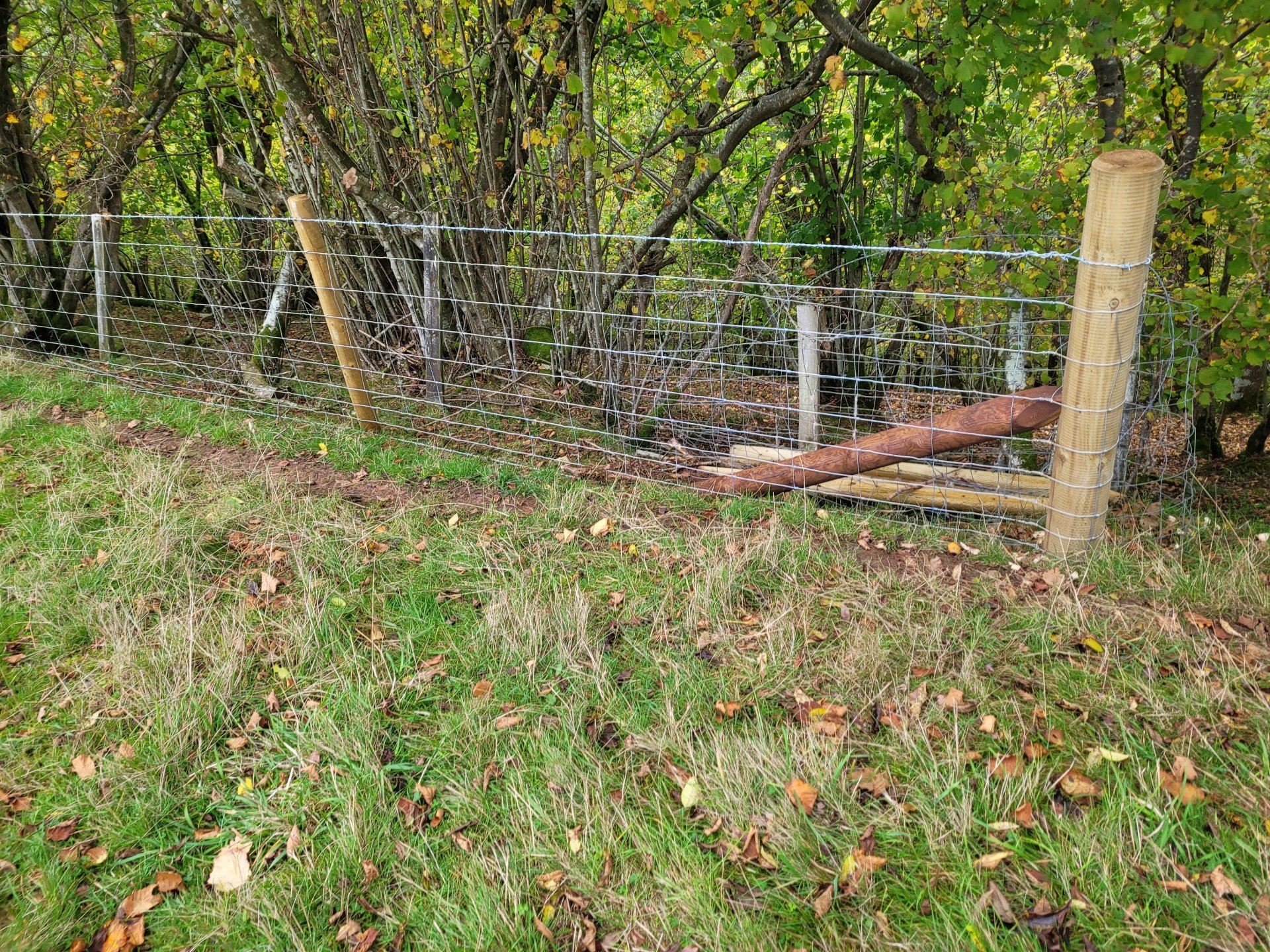 The Fencing Picture Thread | Page 90 | The Farming Forum