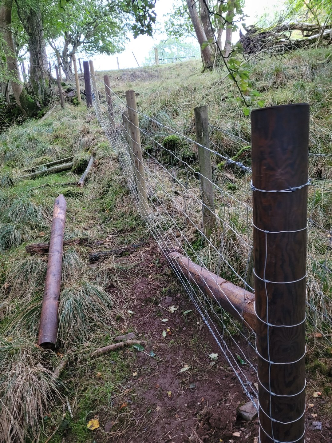 The Fencing Picture Thread | Page 90 | The Farming Forum