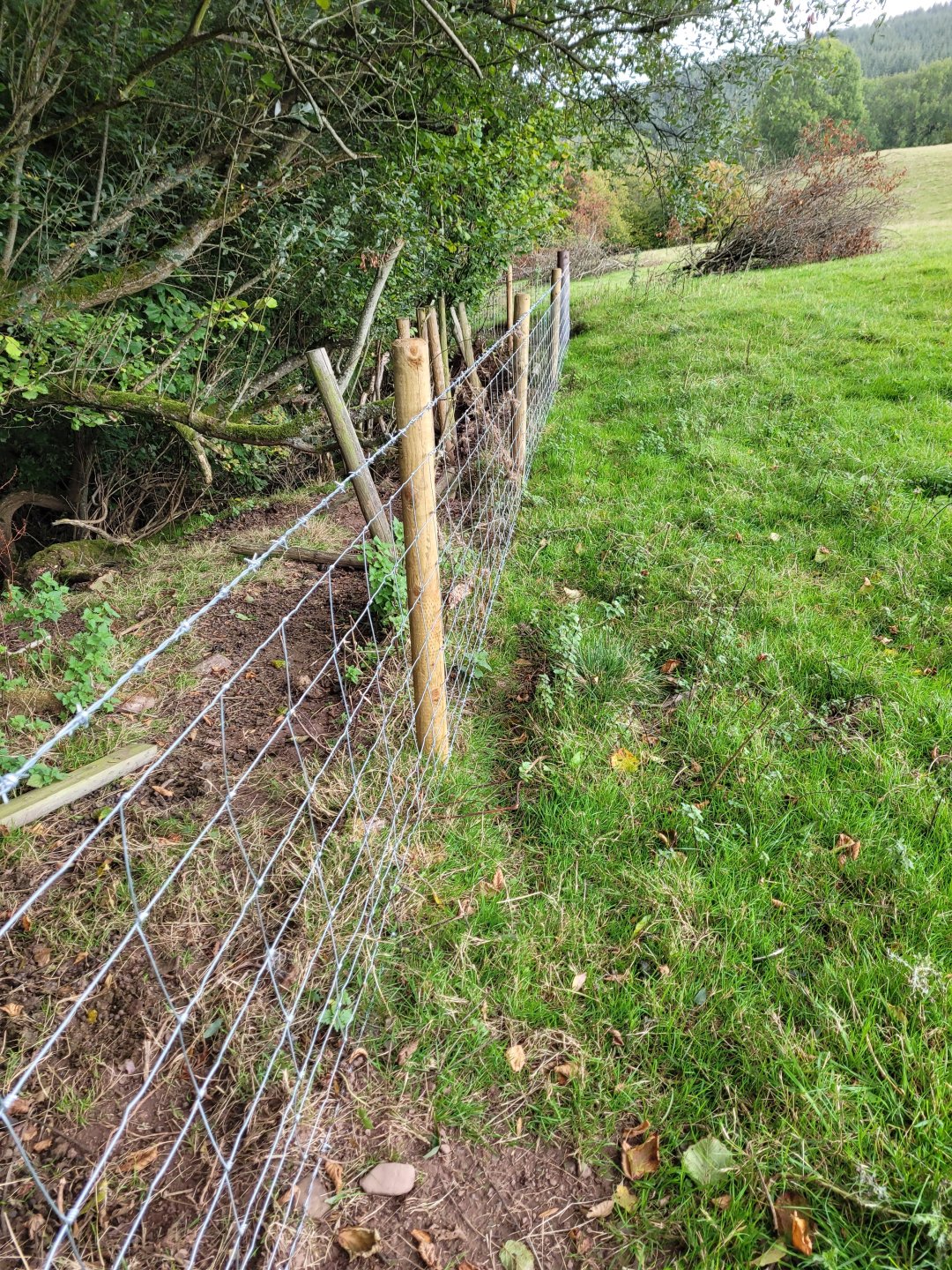 The Fencing Picture Thread | Page 90 | The Farming Forum