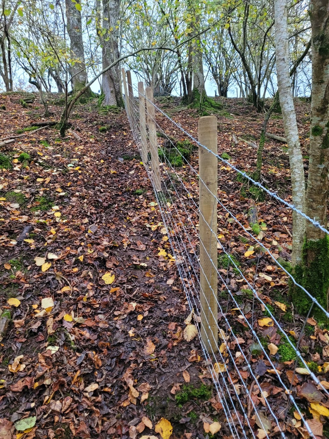 The Fencing Picture Thread | Page 90 | The Farming Forum
