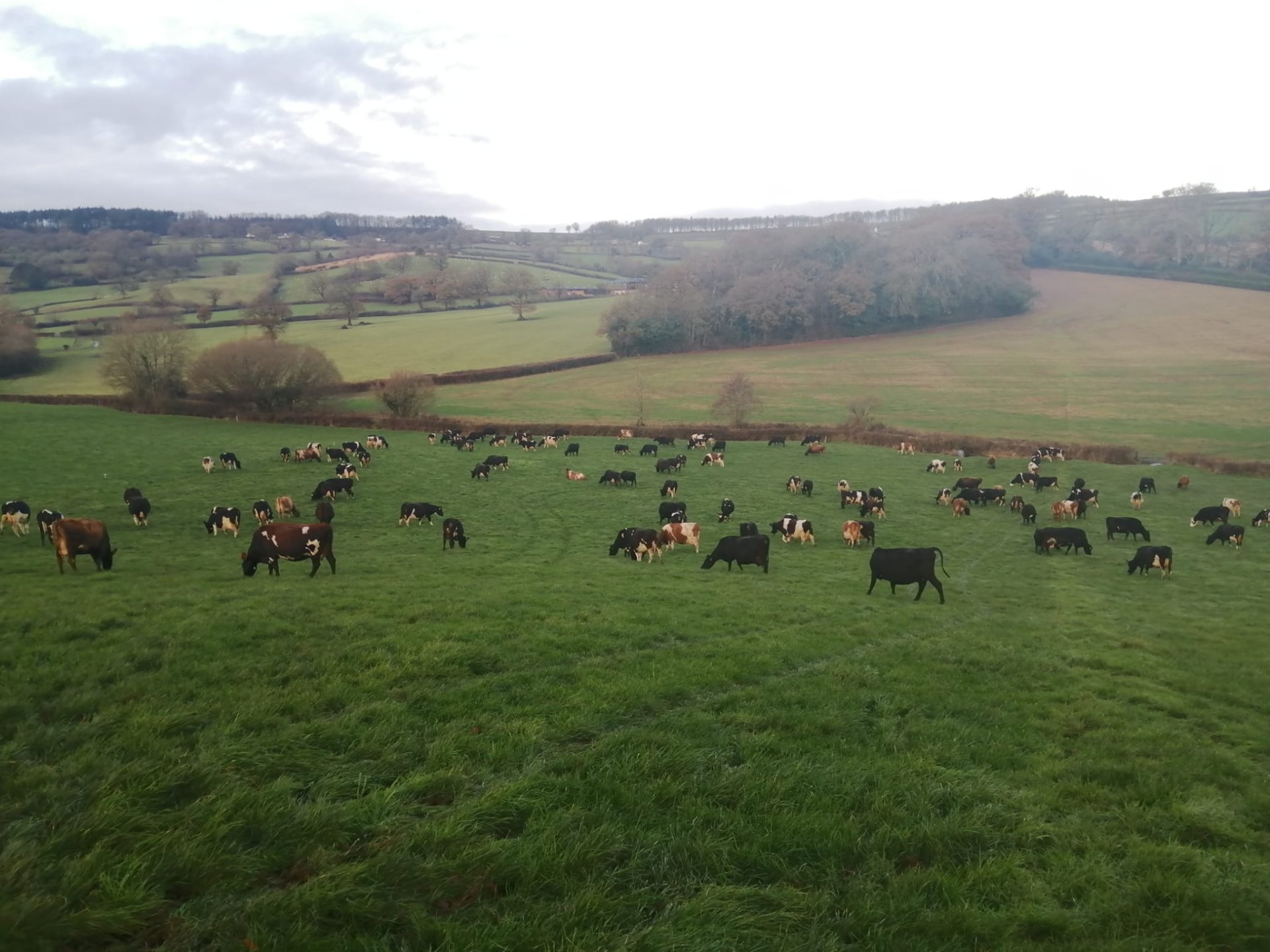 All things Dairy | Page 2890 | The Farming Forum