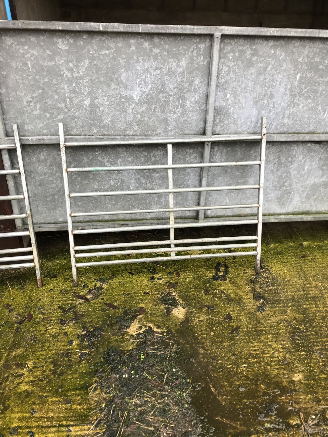 Sheep kit for sale | The Farming Forum