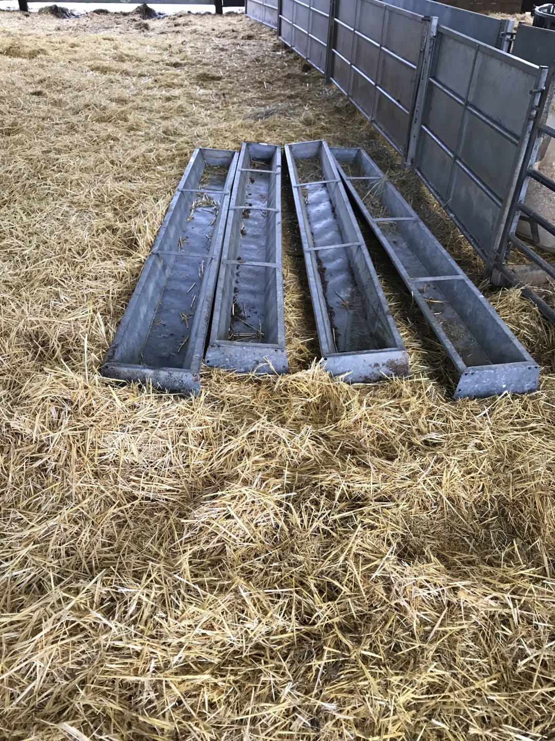 Sheep kit for sale | The Farming Forum