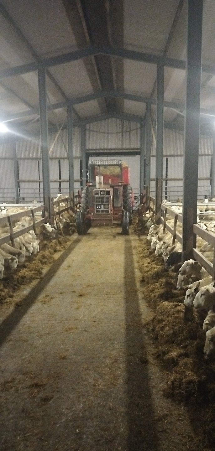 Housing ewes | Page 2 | The Farming Forum