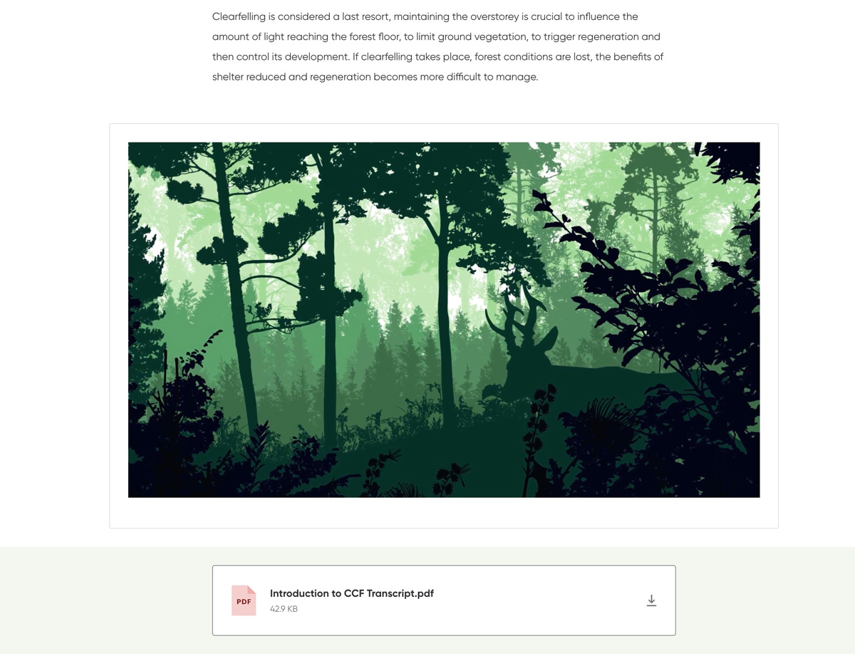 Continuous Cover Forestry (CCF) | The Farming Forum