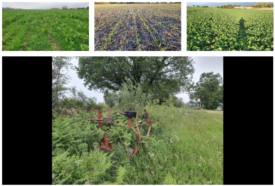 Farmer Focus - Rob Raven | The Farming Forum