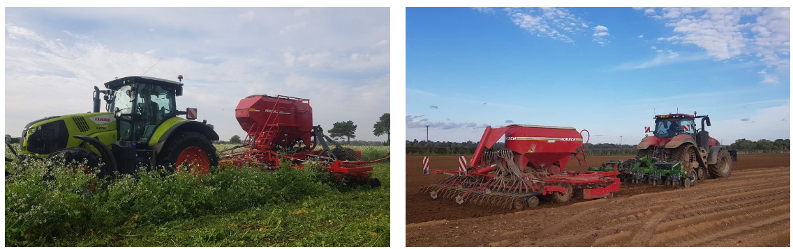 Farmer Focus - Ben Martin | The Farming Forum