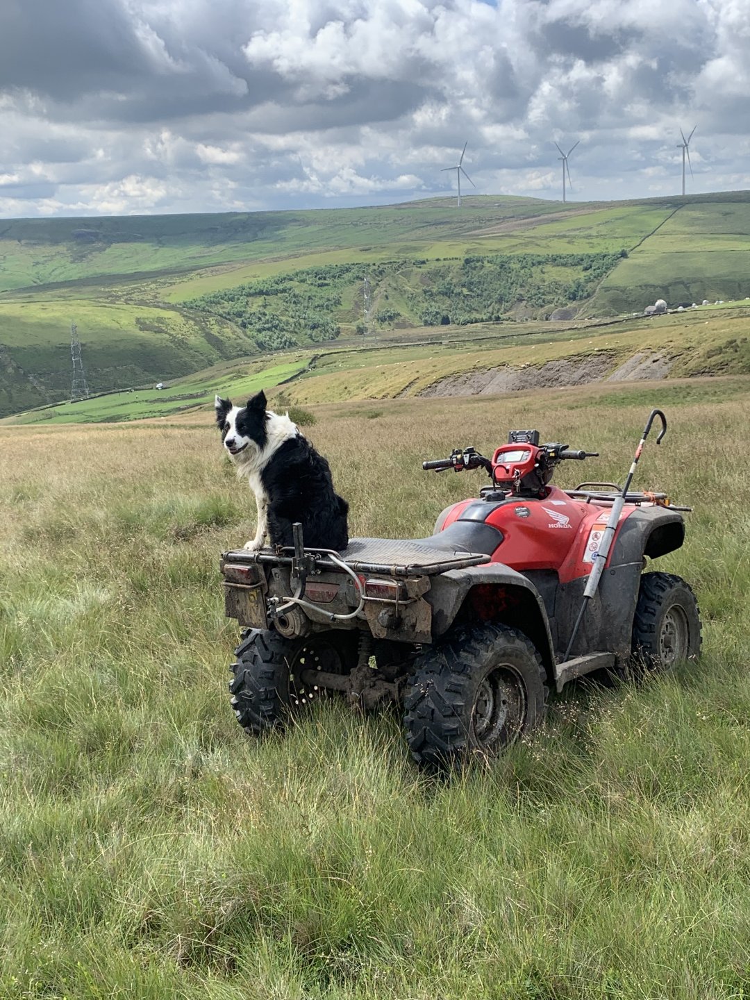 Good quad dog box or carrier. | The Farming Forum