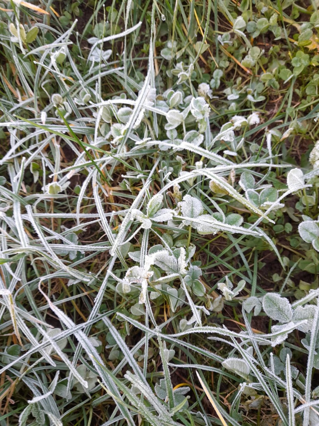 All things Dairy | Page 2925 | The Farming Forum